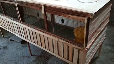 Download Cara Membuat Kandang Ayam Bangkok Dan Ukurannya 