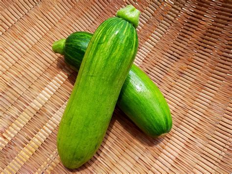 韓国好きの方に！韓国かぼちゃエホバク2kg：愛媛県産の野菜｜食べチョク｜産地直送産直お取り寄せ通販 農家・漁師から旬の食材を直送