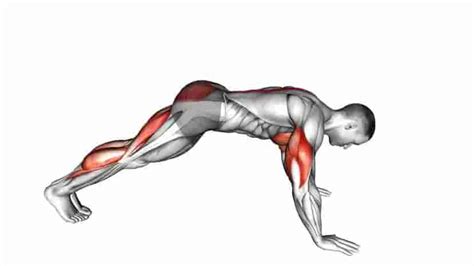 Cobra Push Up Video Guide Lyfta