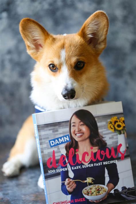Damn Delicious 100 Super Easy Super Fast Recipes Damn Delicious