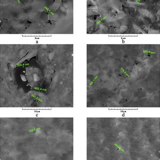 Micrographs Acquired With FIB FE SEM Figures A To F Correspond To