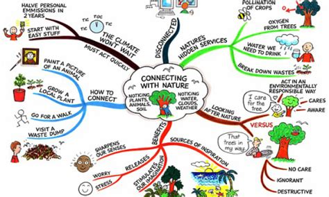 Interactions Among Living Things