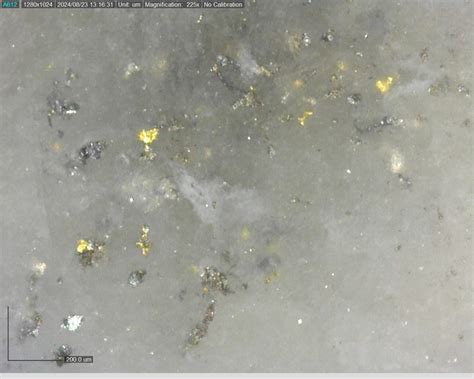 Pdac 2025 Core Shack Sitka Gold Corp