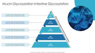 Mucin Glycosylation Intestine Glycosylation In Ppt Powerpoint Presentation Slide Templates Cpp