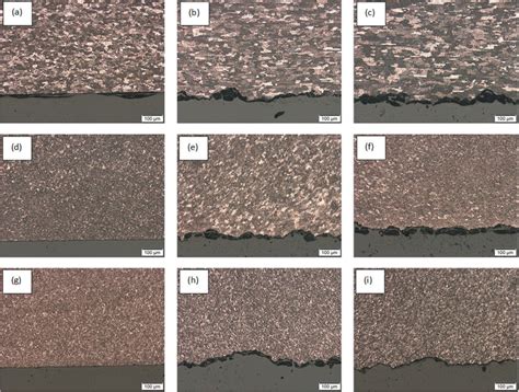 Surface Cross Section Micrographs Of Specimens As Received Without