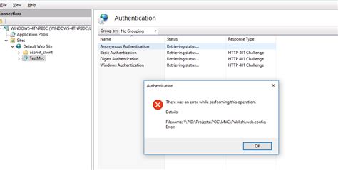 C Unable To Access Aspnet Core Web Application Through Iis