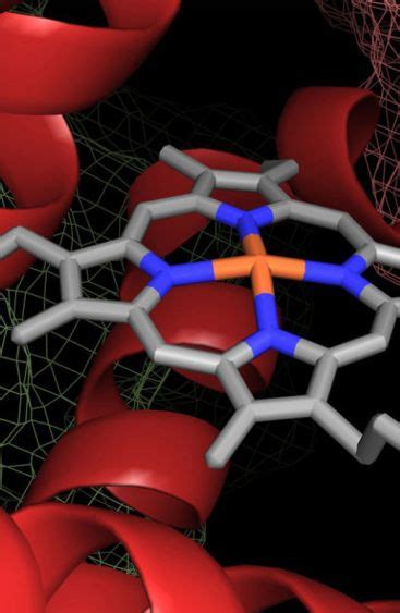 Home Isogen Lifescience