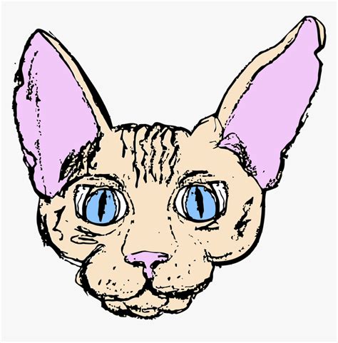 Sphinx Cat Pet Naked Cat Nude Sphynx Cat Yawns HD Png Download Kindpng