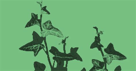 Iorad The Service Partner Program