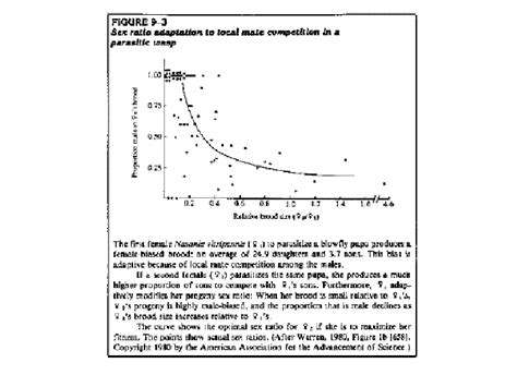 Sex Ratio