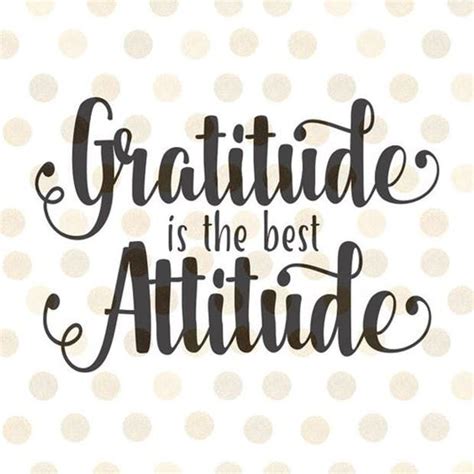 35 Best Gratitude Quotes To Share When Youre Feeling Thankful