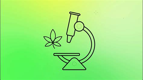 How Thc The Psychoactive Compound In Weed Gets You High Sciencex Innovations