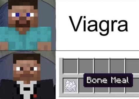 Bone Meal R Memes