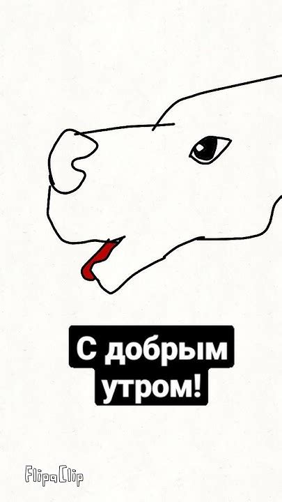 Песик Youtube