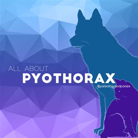 Pyothorax Pathology And Ponies