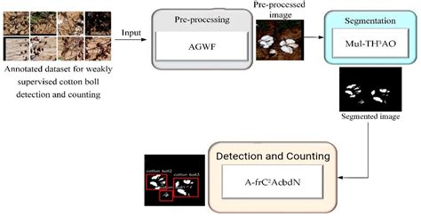 Advanced Cotton Boll Segmentation Detection And Counting Using Multi Level Thresholding