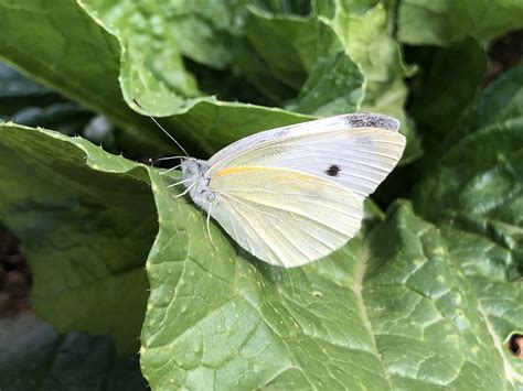 Sejong University Sejong University Dkdl5 Roboflow Universe