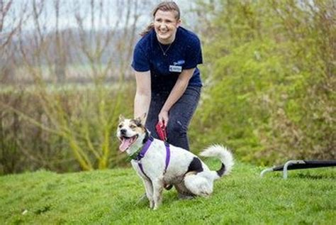 Animal Cruelty On The Rise Rspca Reports 22 Increase In People