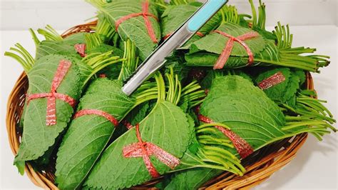 💚깻잎 이 방법은 아무도 모릅니다 보이면 많이 사오셔서 이렇게 드세요🥦이렇게 해 놓으면 여룸이 건강하고 행복합니다 Youtube