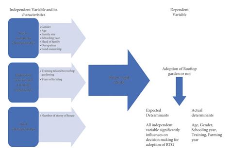 Conceptual Framework Of Using Binary Logit Model And Variables Used