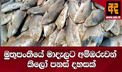 ශිෂ්‍යත්ව ප්‍රතිඵල අනුව පාසල්වලට සිසුන් ඇතුළත් කිරීමට අදාළව අභියාචනා