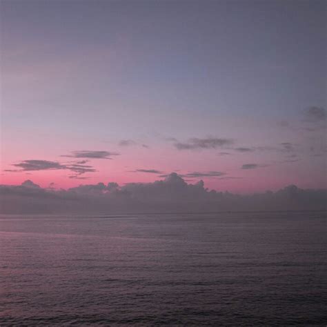 Ins
