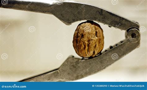 Nutcracker With A Nut To Crush Stock Image Image Of Home Composition