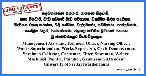 Management Assistant Technical Officer Work Superintendent University