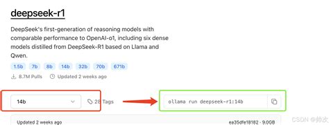 高端入门：ollama 本地高效部署deepseek模型深度搜索解决方案ollmal Csdn博客