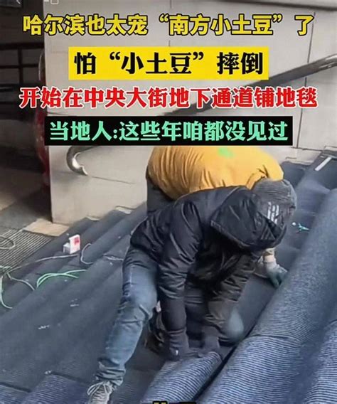 不必对“南方小土豆”的说法过于敏感 新京报快评 旅游 称呼 游客
