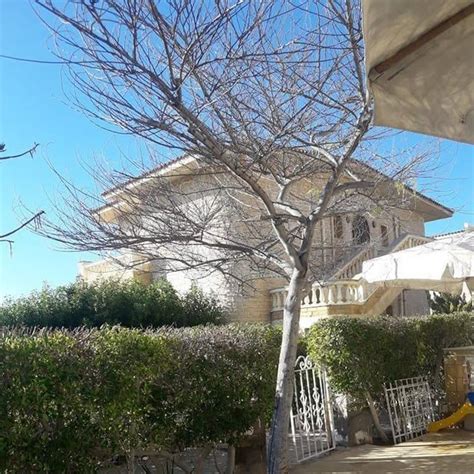 Elweya Soliman Elweya Soliman • Threads Say More