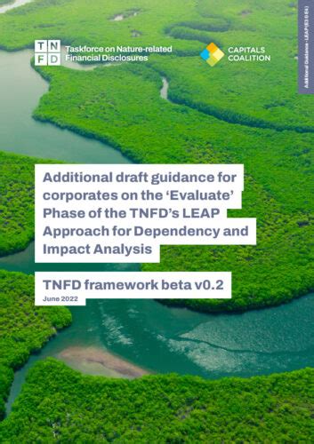 Additional Draft Guidance For Corporates On The Evaluate Phase Of The