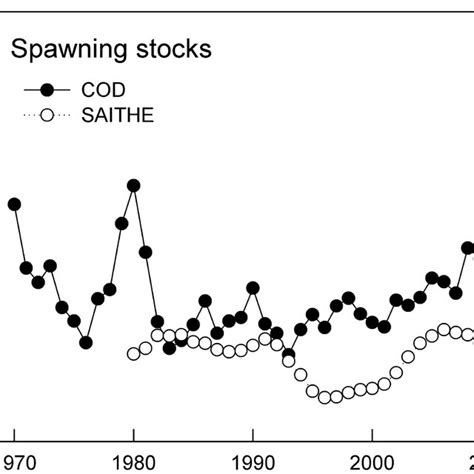Spawning Stocks Of Cod Gadus Morhua And Saithe Polacchius Virens In