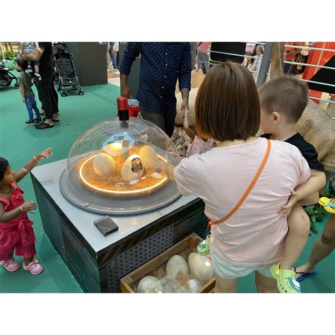 Sg Largest Jurassic Dinosaur Event Decor Rental Platform Dino Eggs Incubator Prop