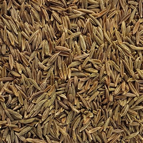 Cumin graine Tisane et épices Bio