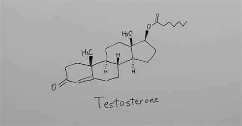 Top 15 Foods That Kill Testosterone Purehealth Research