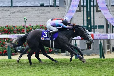 【高松宮記念】マッドクールがg1初制覇ゴール前は大激戦 競馬ニュースなら競馬のおはなし