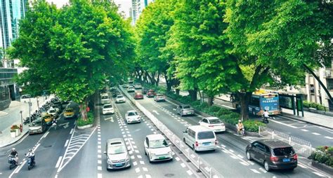 锚定“绿美广东”绿色建设，加强夏季林荫碧道养护腾讯新闻