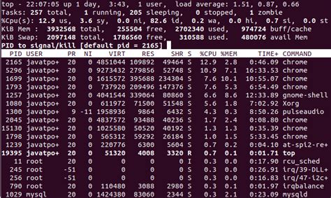 Linux Kill 立地货