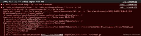 【vue】报错信息： Wds Errors While Compiling Reload Prevented Csdn博客