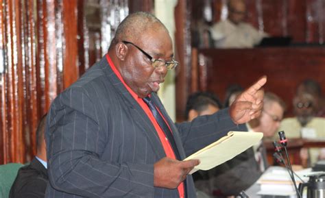 Ppp Member Of Parliament Calls For Public Security Minister To Be Fired