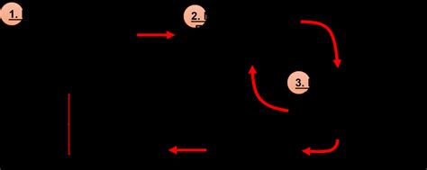 Modeling Microbial Regulation Of Pesticide Turnover Pipeline To Download Scientific Diagram