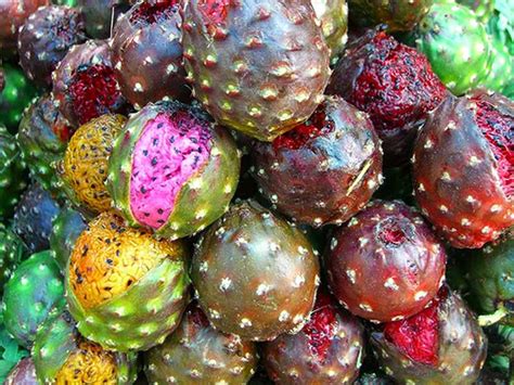 Studio Marcy Marcy Lamberson Have You Seen These Pitaya Fruit