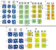 Category Grid Cells Wikimedia Commons