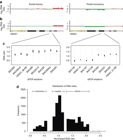 Examples Of Hsa21 Array Cgh Results A Plots Of Dna Ratio For Two