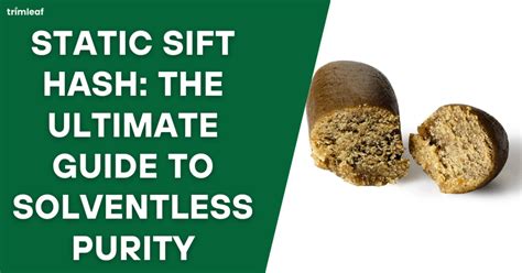 Static Sift Hash The Ultimate Guide To Solventless Purity