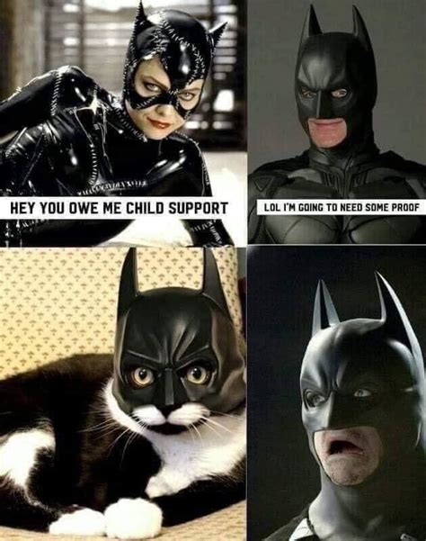Catwoman Memes