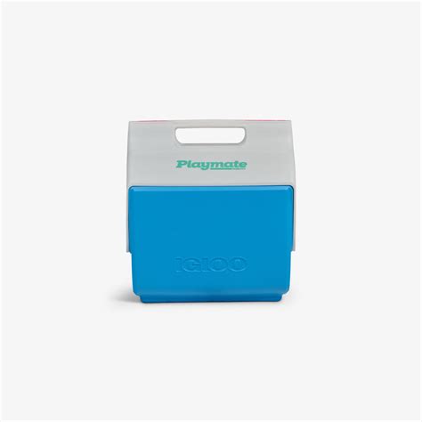 Imx 24 Qt Cooler Igloo