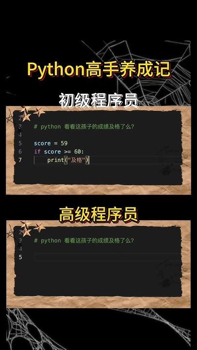 Python高级程序员是怎么练成的？ Python编程 Python Vscode 初级程序员高级程序员 Youtube