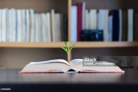 교육 학습 개념입니다 오래된 교과서가 펼쳐진 도서관의 책 독서 책상에 문학 텍스트 아카이브 더미 학교 학습 교실 배경의 책장